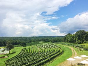Five More Wineries to Visit in North Georgia - A Friend Afar